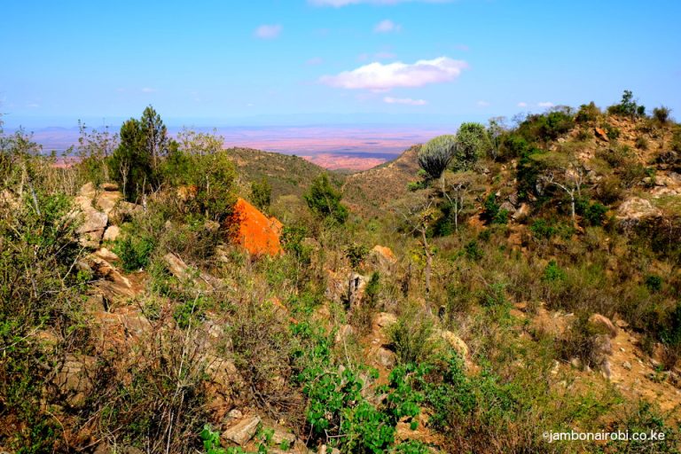 Mathews Range Hiking, Wamba Route to Warges Peak - Jambonairobi