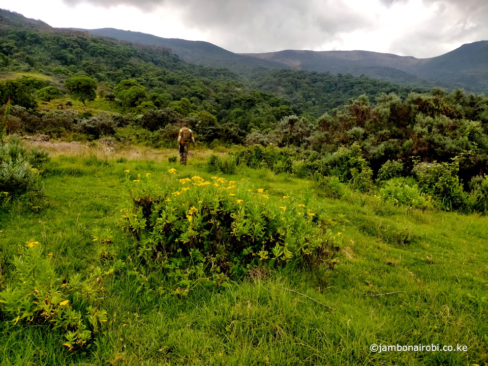 Aberdares Hiking, Kwa Matu to Table Mountain - Jambonairobi